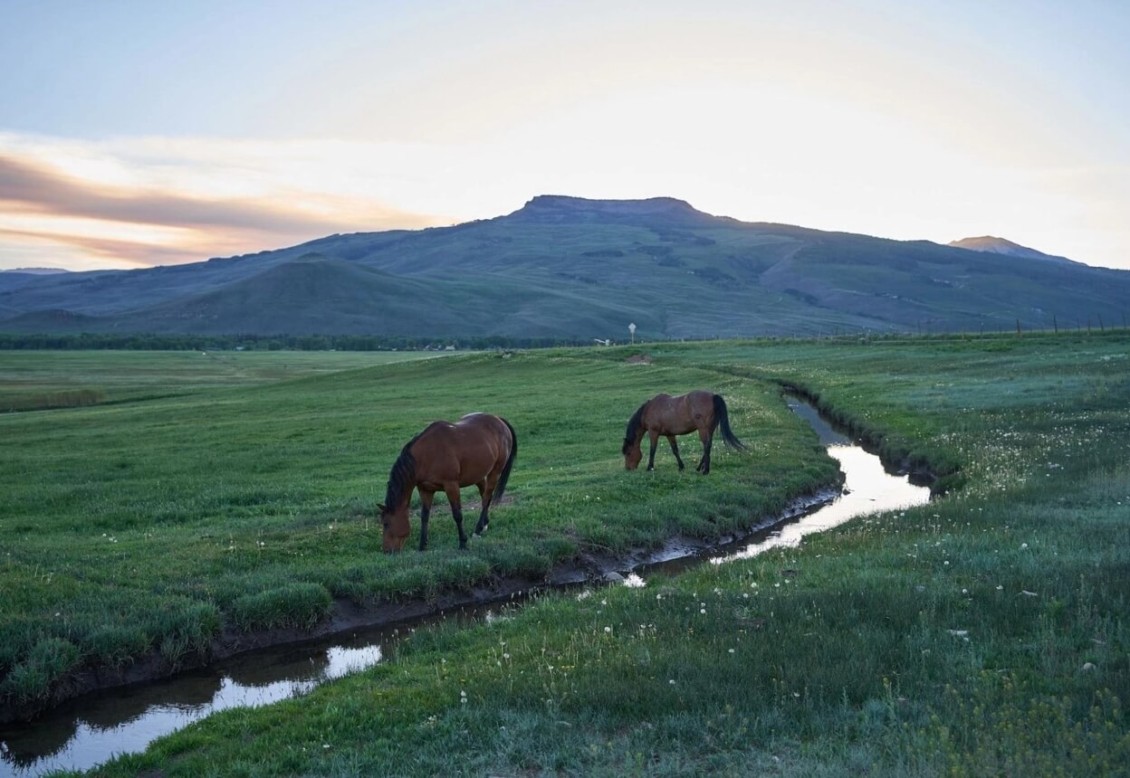 HydroGEN - National Watershed Conditions for a Changing World